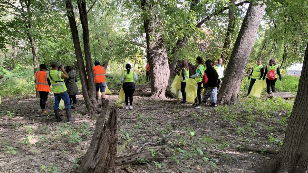 Smoke-free parks law to include cannabis; plus East Side concerns ...